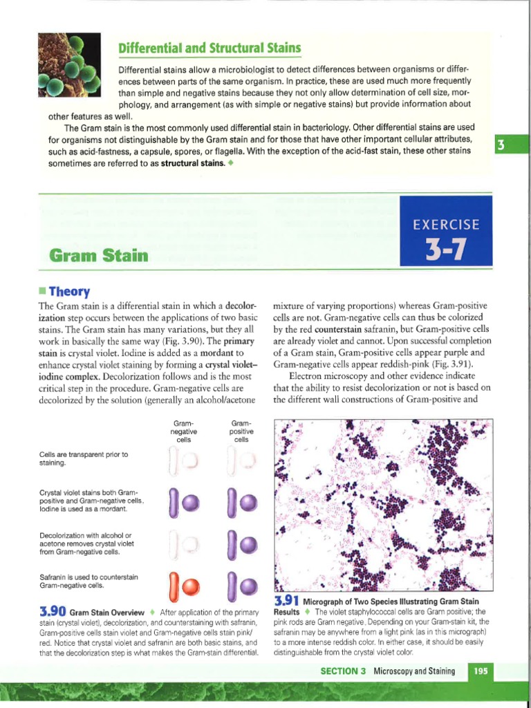 Micro Week 2 Scans | PDF