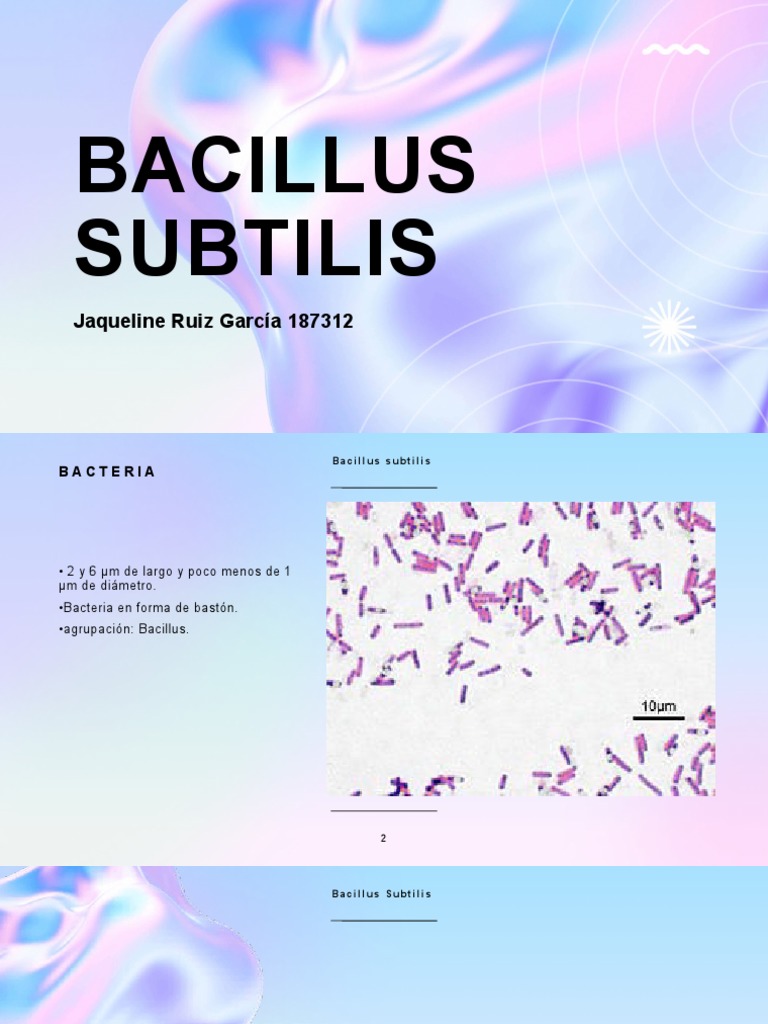 Bacillus Subtilis | PDF