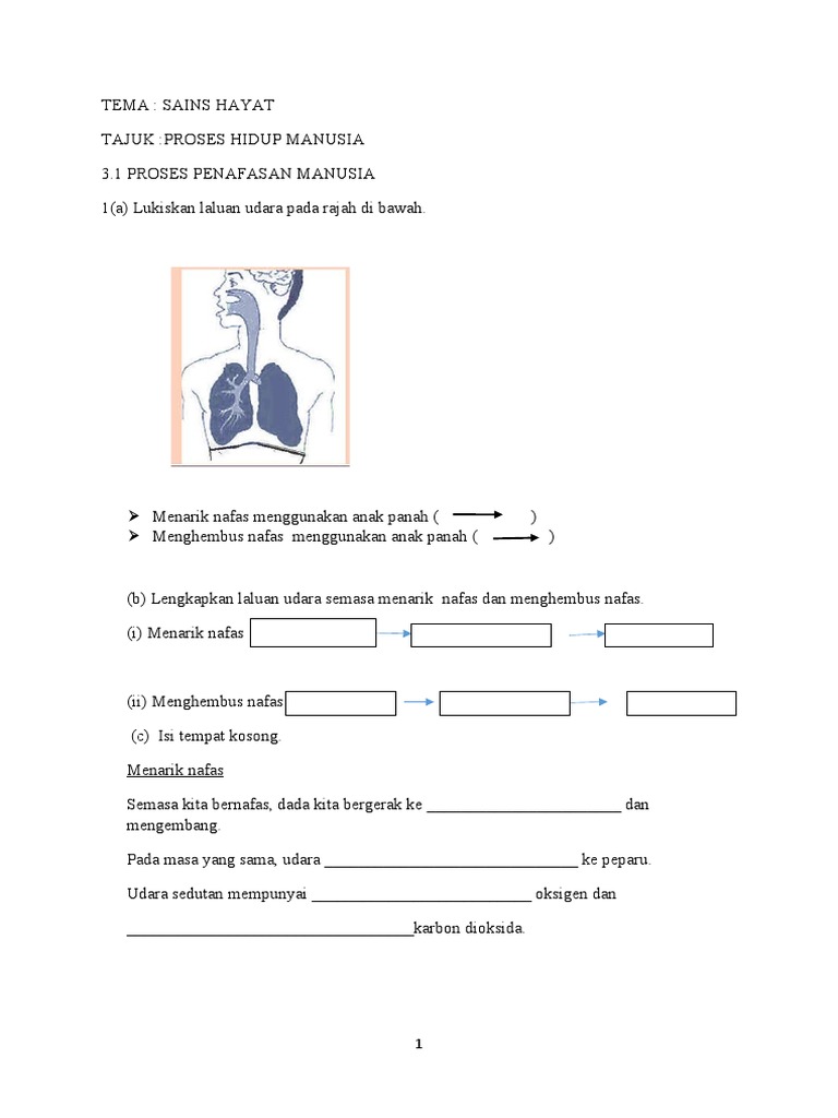 Proses Penafasan dan Perkumuhan Manusia | PDF | Kesehatan Holistik