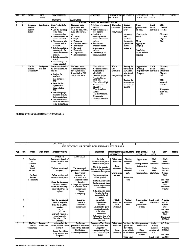 Primary 6 (SST Scheme of Work) | PDF | Stone Age