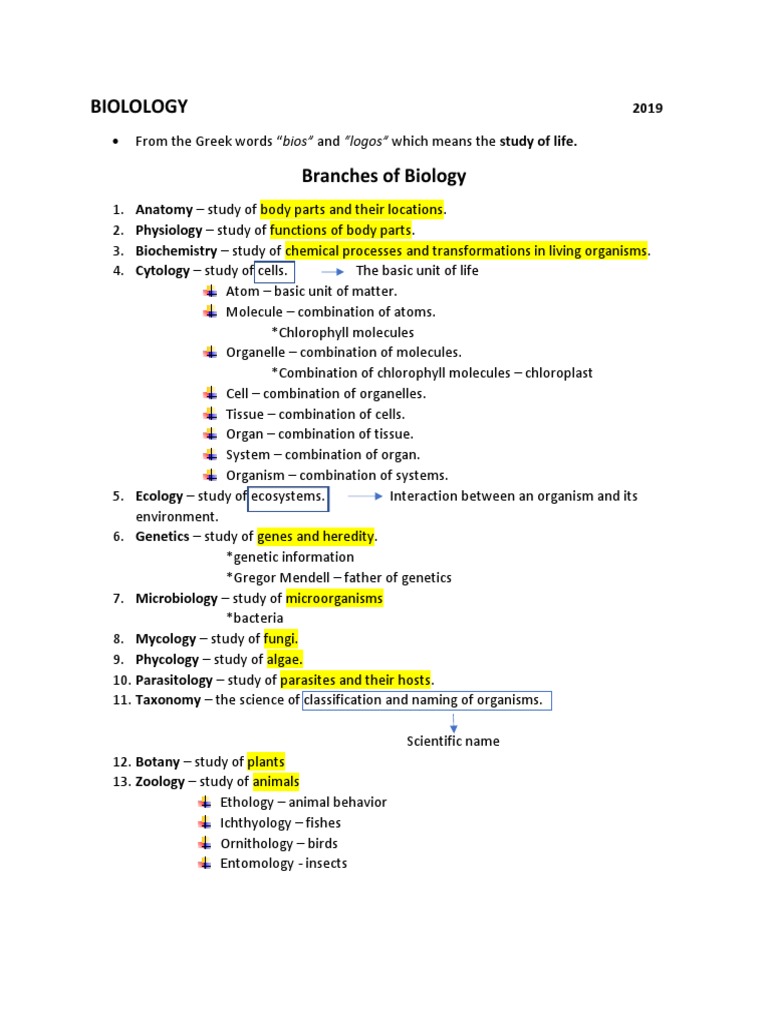 Overview of Biology Branches and Concepts | PDF | Science & Mathematics