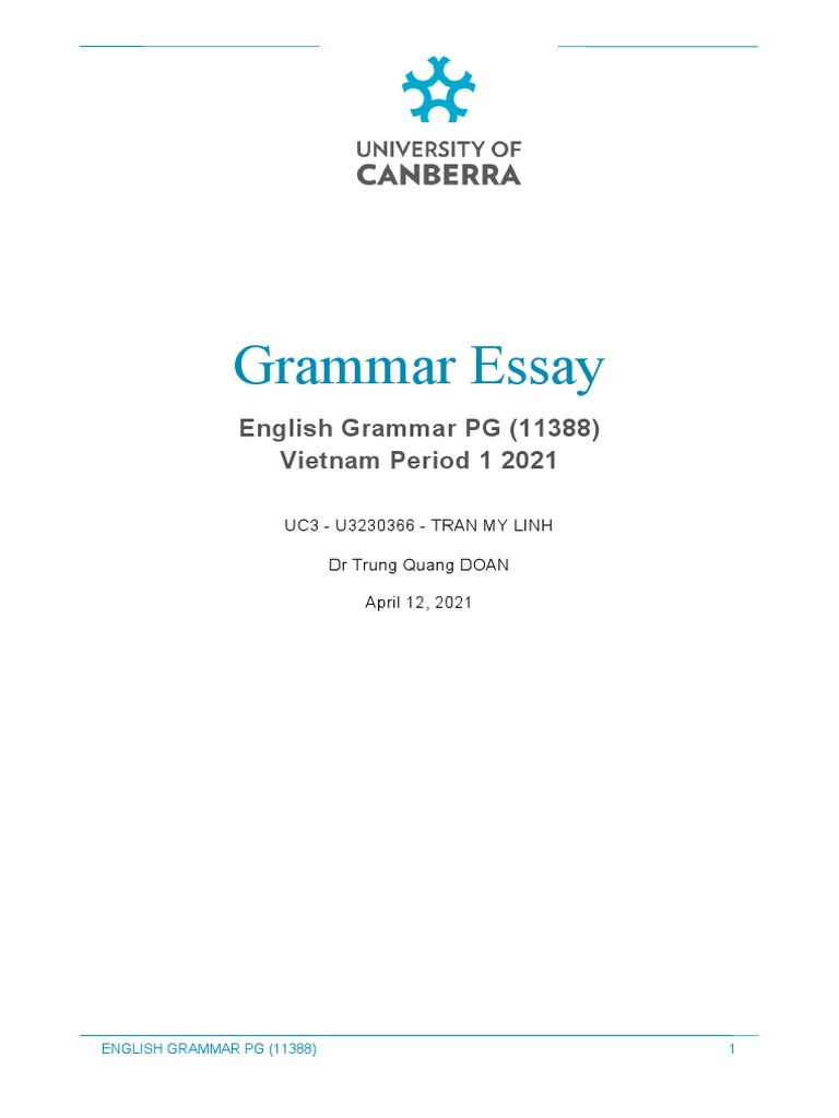 U3230366 11388 Grammar-Essay | PDF | Grammatical Tense | Verb