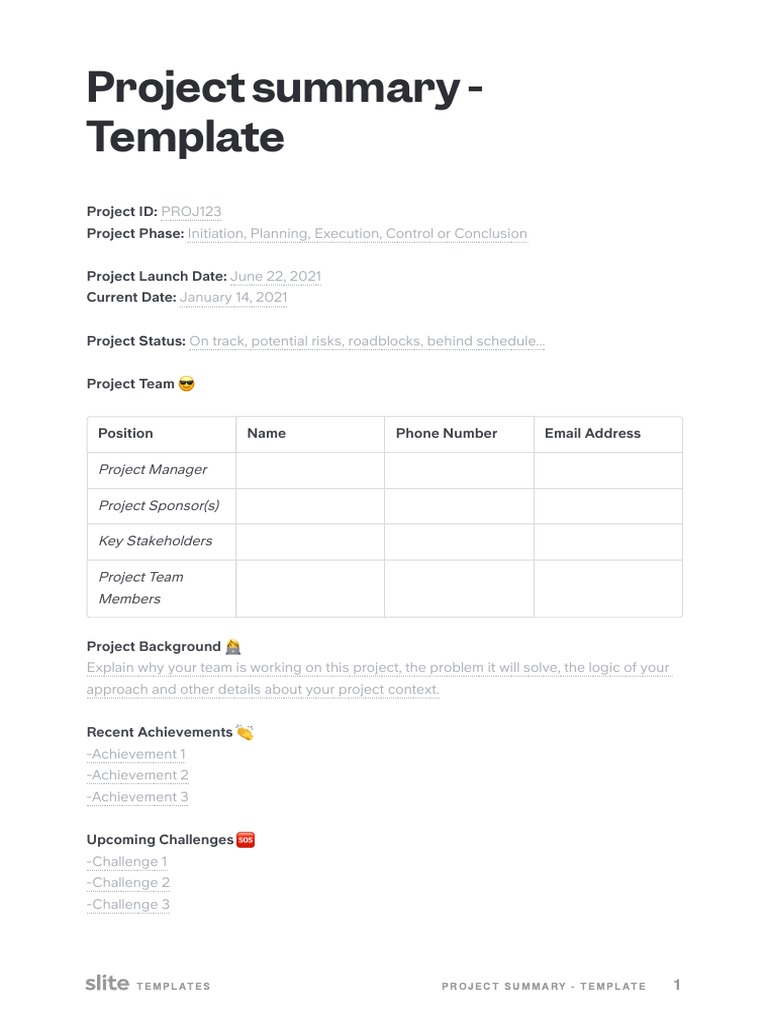 Project Summary - Template | PDF