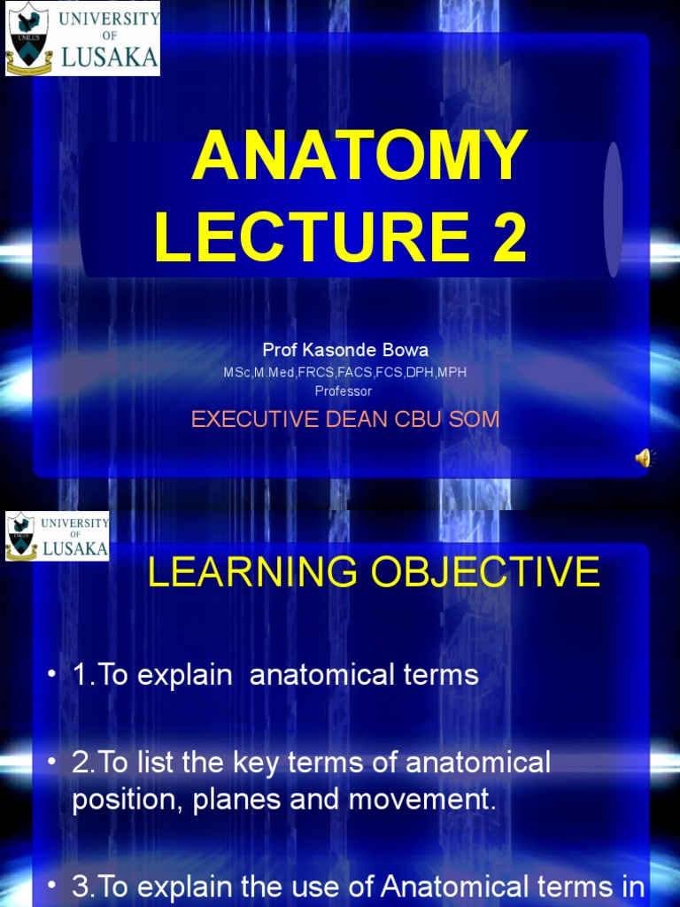 An Overview of Gross Anatomy: Key Concepts of Anatomical Position, Planes, Movements, and ...