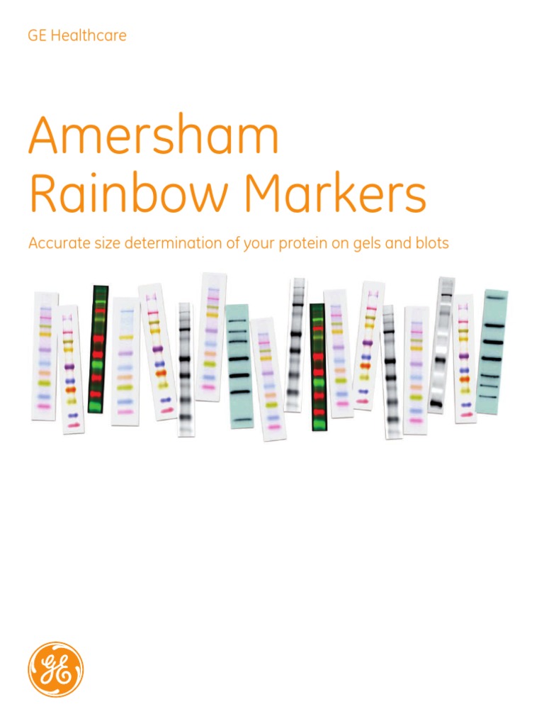 Amersham Rainbow Markers | PDF | Western Blot | Blot (Biology)