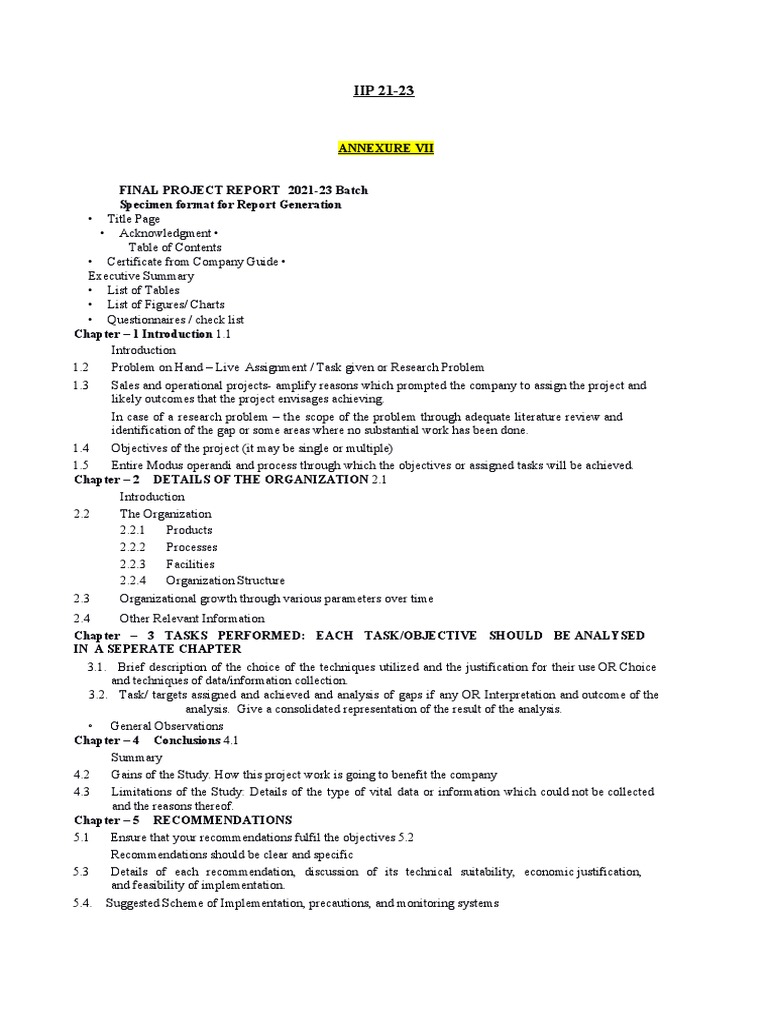 Iip Final Report Format | PDF | Data | Information