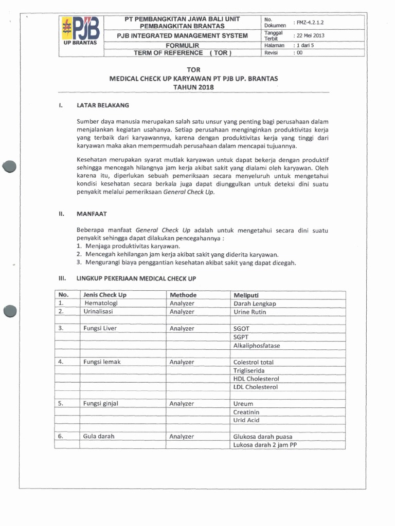 TOR Medical Check UP Karyawan PT PJB UP Brantas Tahun 2018 | PDF