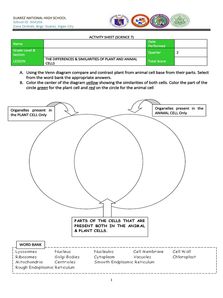 Plant and Animal Cell Comparison Worksheet | PDF | Cell (Biology ...