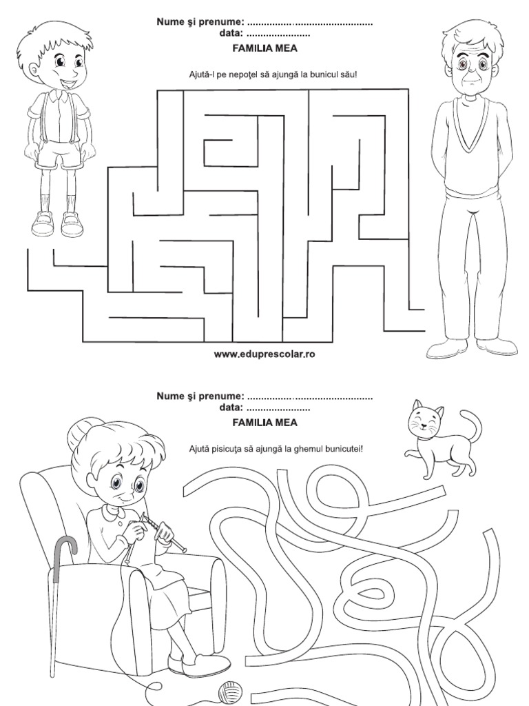 MT 18 8 Fise Labitint Familia Mea | PDF