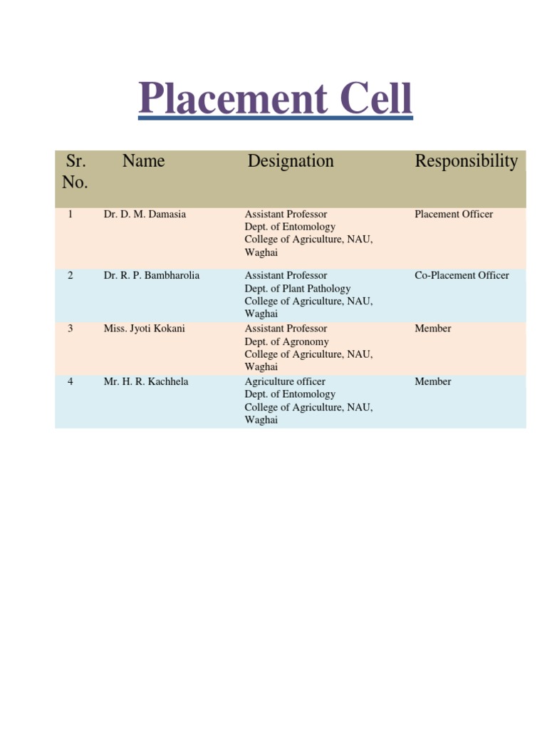 College Placement Cell Contact Details | PDF