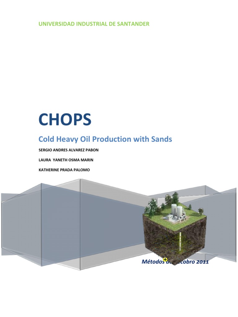 Cold Heavy Oil Production With Sands CHOPS | PDF | Petróleo | Refinería ...