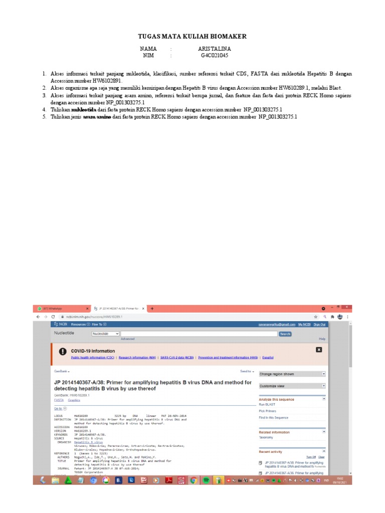 Tugas Mata Kuliah Biomaker 2 | PDF