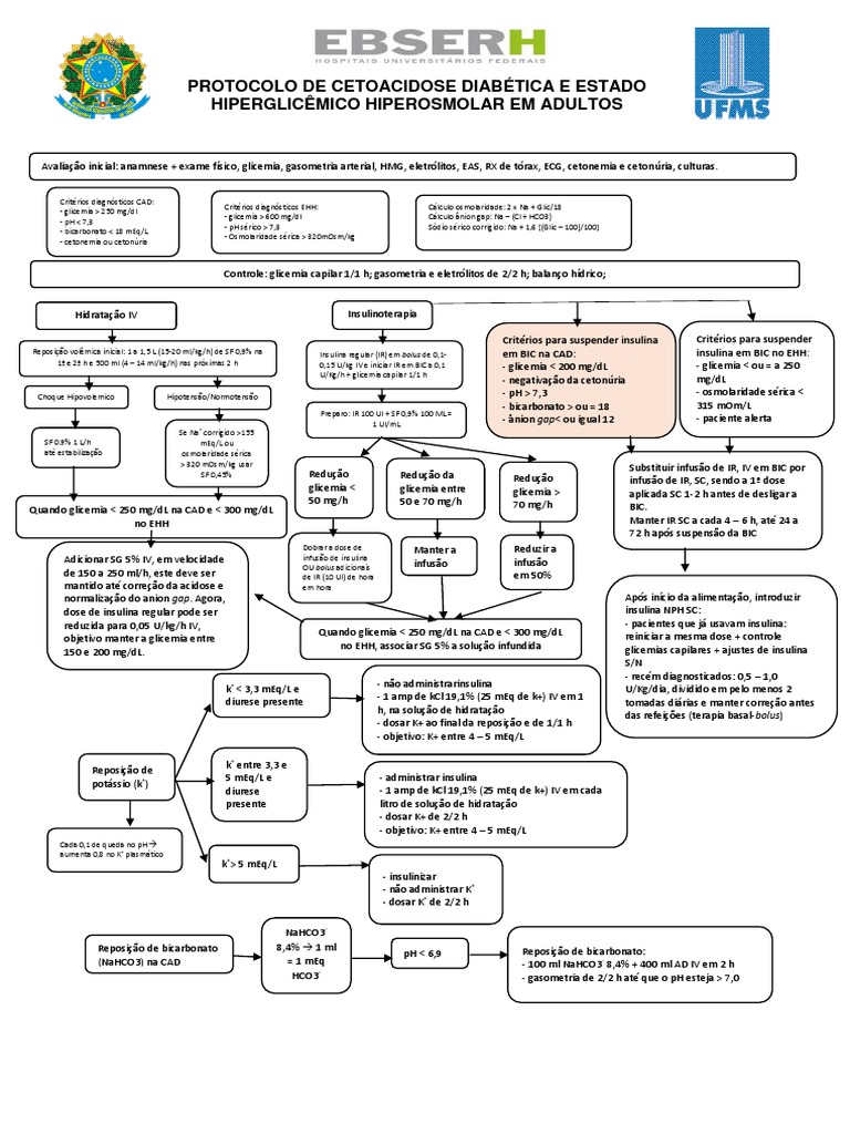 Insulina Ev Continua - Endócrino - Cetoacidose e Ehh | PDF | Química | Causas de morte