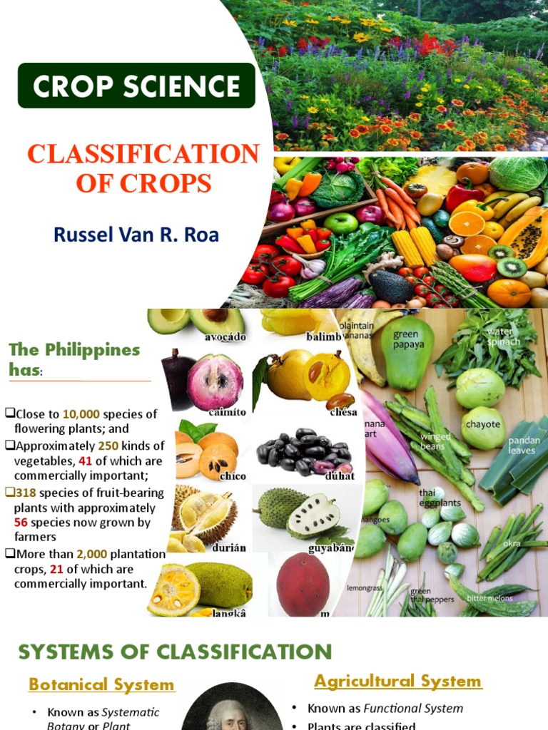 Classification of Crops | PDF | Floristry | Vegetables Classification of Crops | PDF | Floristry | Vegetables