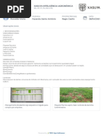 6d21e Bula Fox Xpro Fungicida | PDF | Embalagem e rotulagem | Armazém