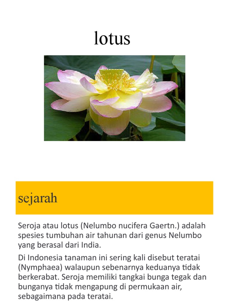 Lotus | PDF