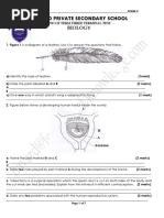 Grade 12 Meiosis Practical | PDF | Meiosis | Chromosome