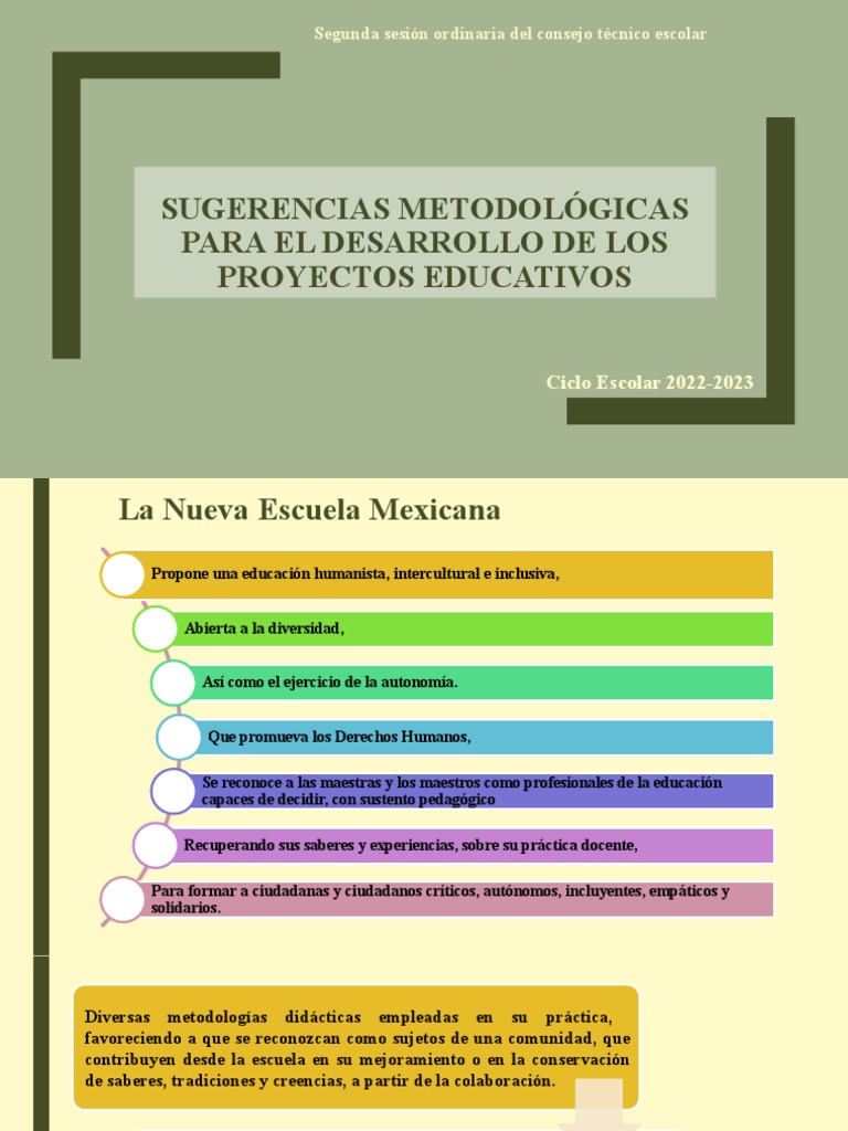 Sugerencias Metodológicas para El Desarrollo de Los Proyectos - 083553 | PDF | Evaluación ...