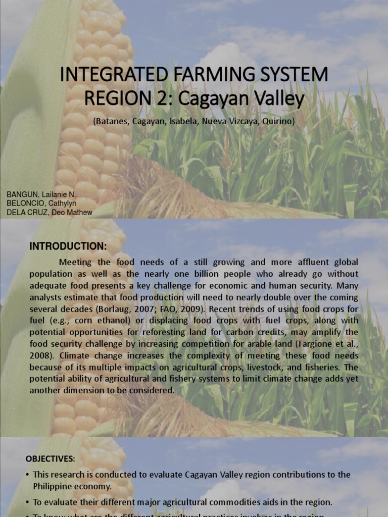 CAGAYAN-VALLEY Final Report | PDF | Agriculture