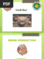Swine Terminology | PDF | Pig | Livestock