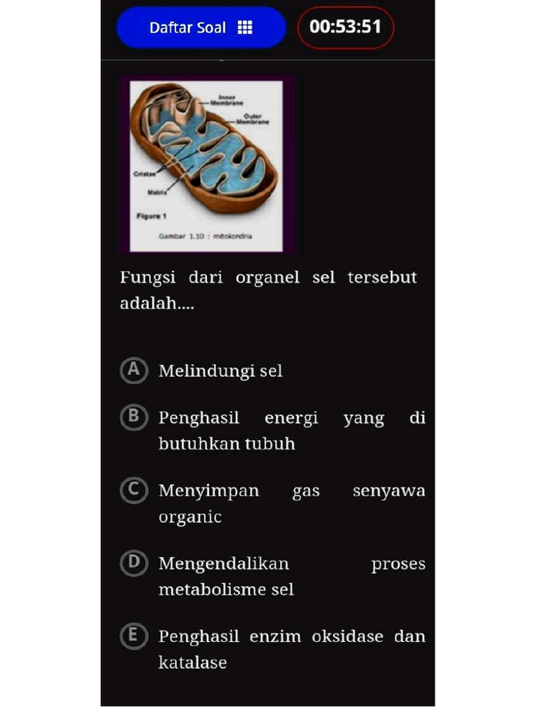 PDF Gallery - 20221129 - 113004 | PDF