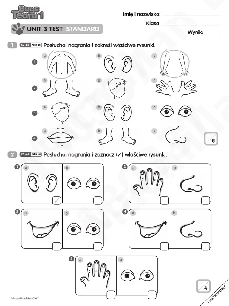 Unit 3 Test Standard Bugs Team 1 | PDF