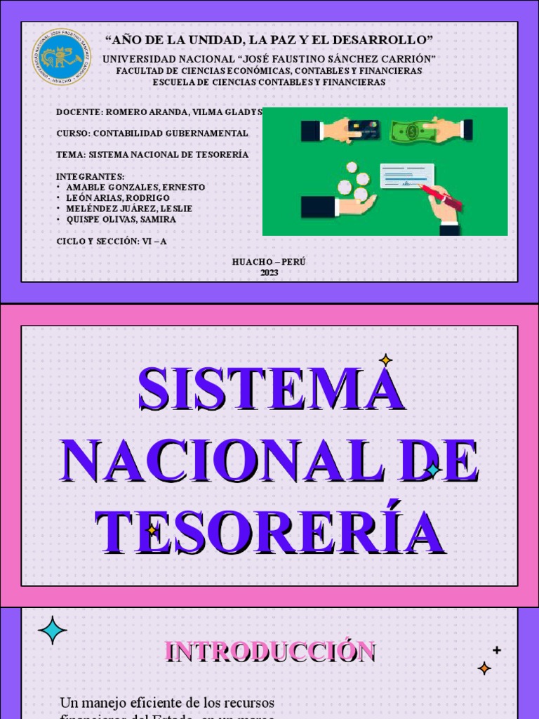 Sistema Nacional de Tesoreria | PDF | Empresa de propiedad estatal ...