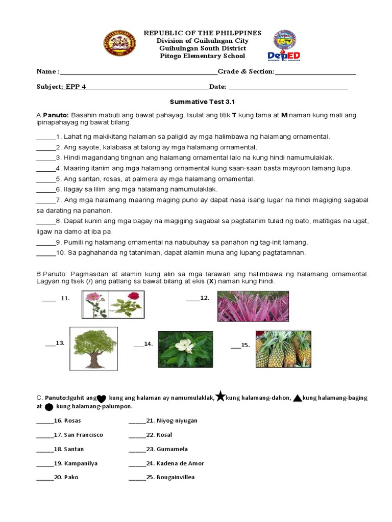 EPP 4-Summative Test 3.1 | PDF