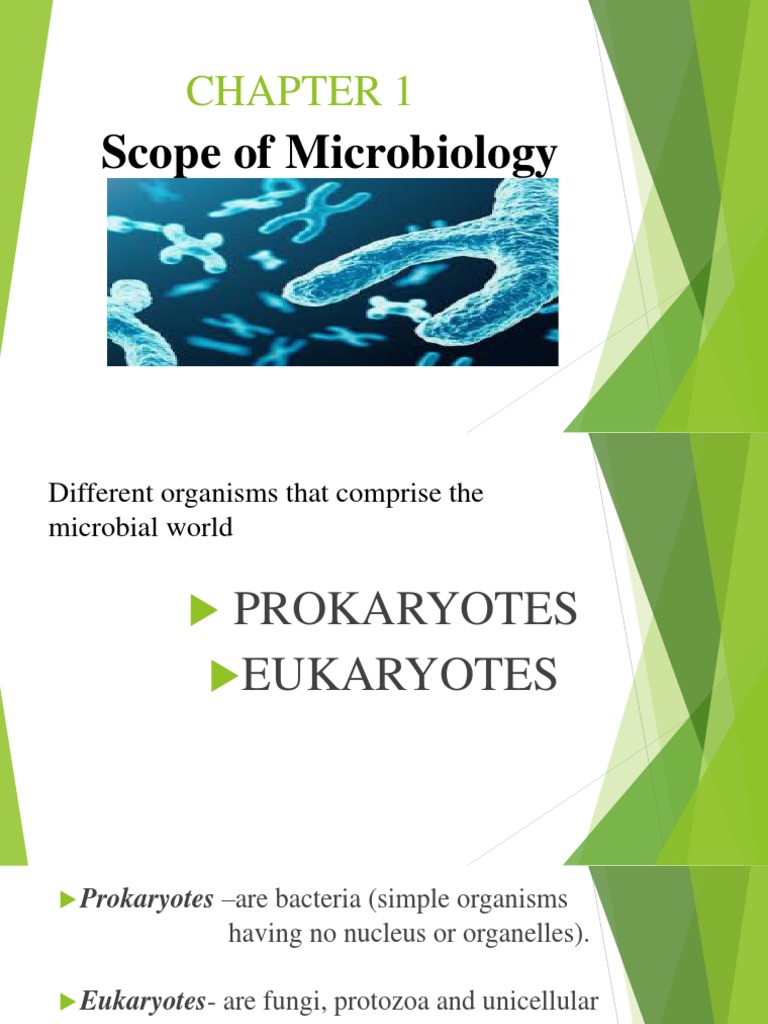 Chapter 1 Microbiology and Parasitology | PDF | Microorganism ...