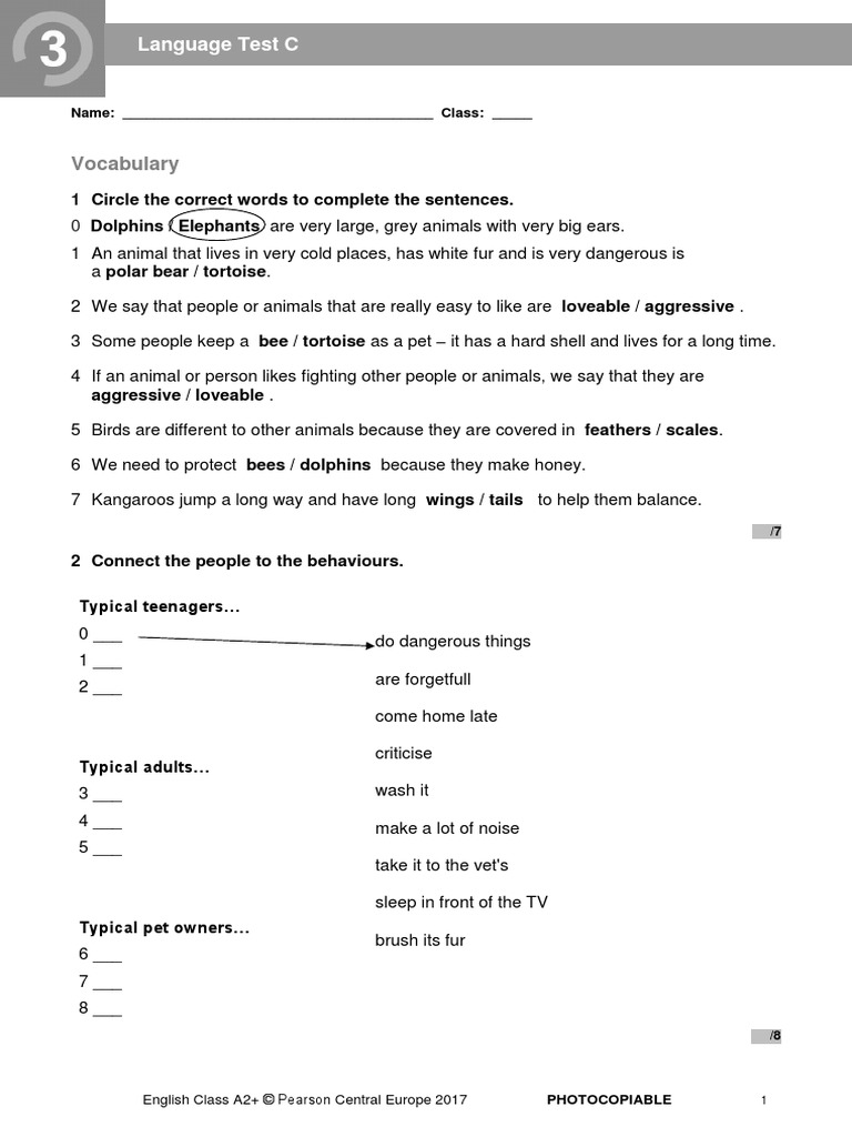ECA2plus Tests Language Test 3C | PDF | Foreign Language Studies