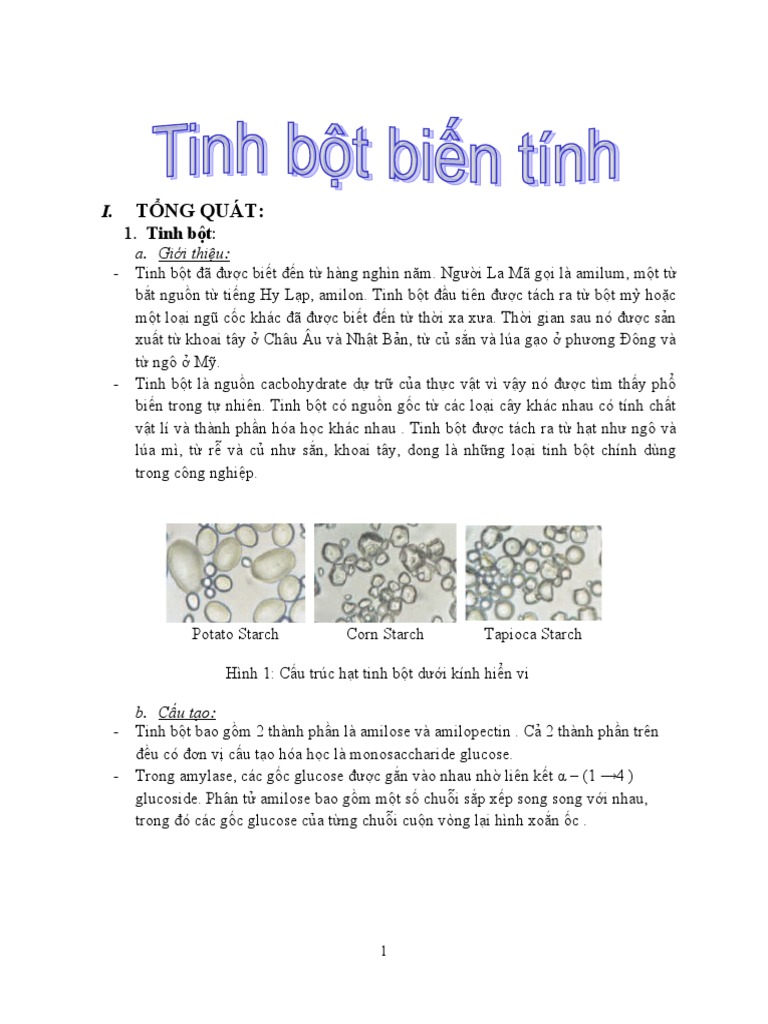 Tinh Bot Bien Tinh | PDF