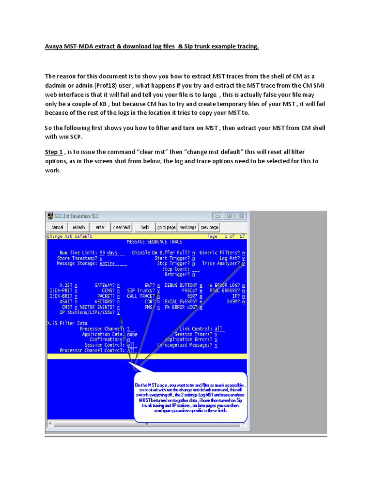Avaya MST | Download Free PDF | Shell (Computing) | Computer File