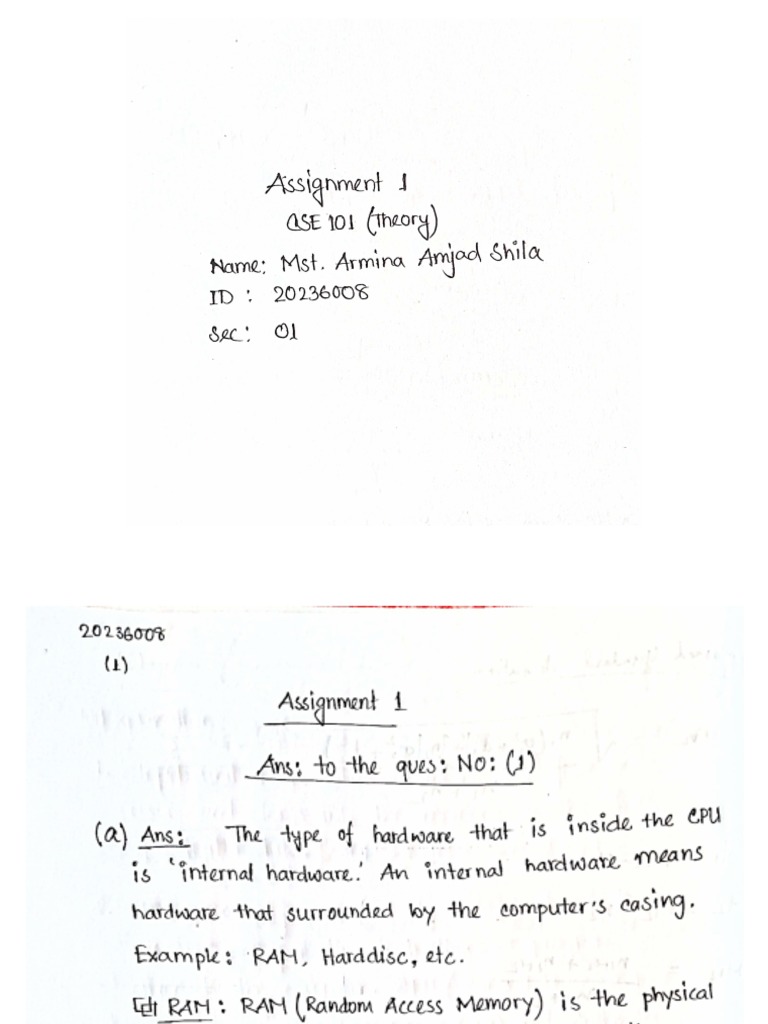 Assignment 1 - CSE101 | PDF