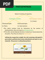 Grade 10 Biology Notes | PDF | Mitosis | Leaf
