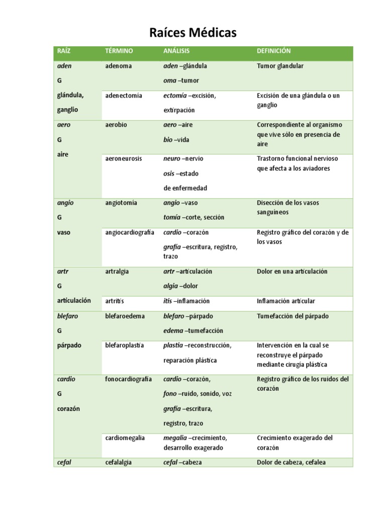 Terminología Médica - Raices | PDF | Vejiga urinaria | Bilis