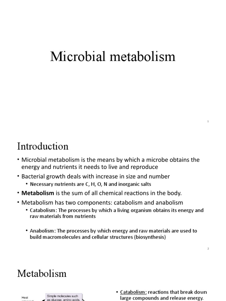 Microbial Metabolism | PDF
