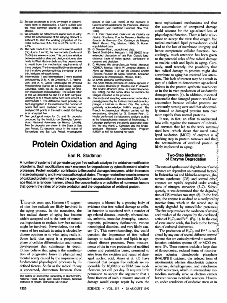 1992 - Protein Oxidation and Aging | PDF | Amino Acid | Enzyme