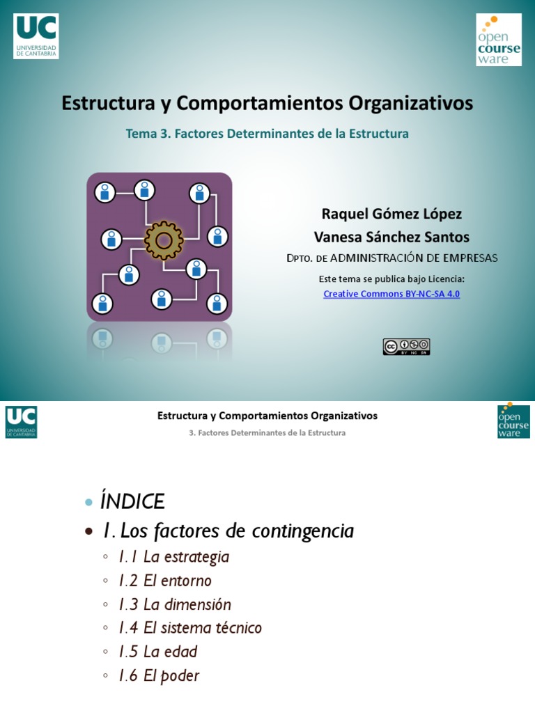 Tema 3 Factores Determinantes de La Estructura | PDF | Comportamiento ...