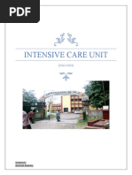 ICU Sheet Simplified | PDF | Medical Treatments | Medicine