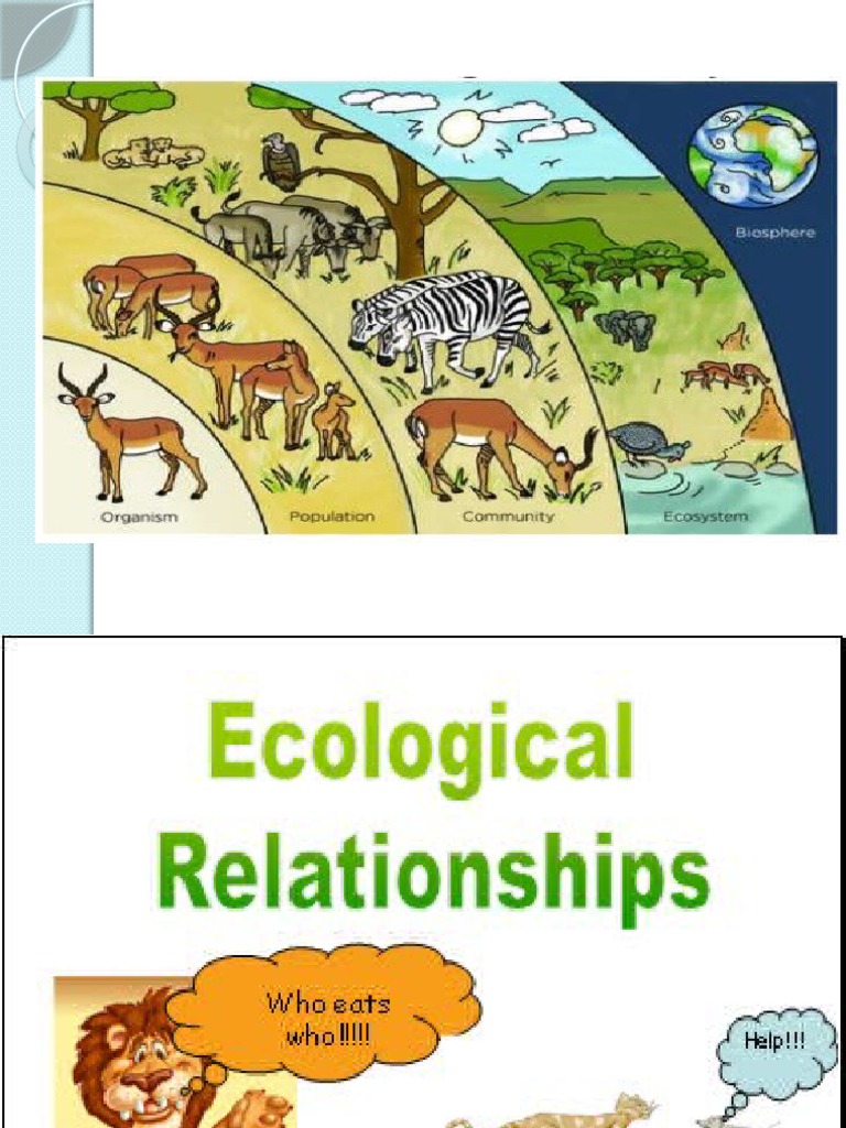 Ecological Relationships: Exploring the Interactions Between Organisms ...