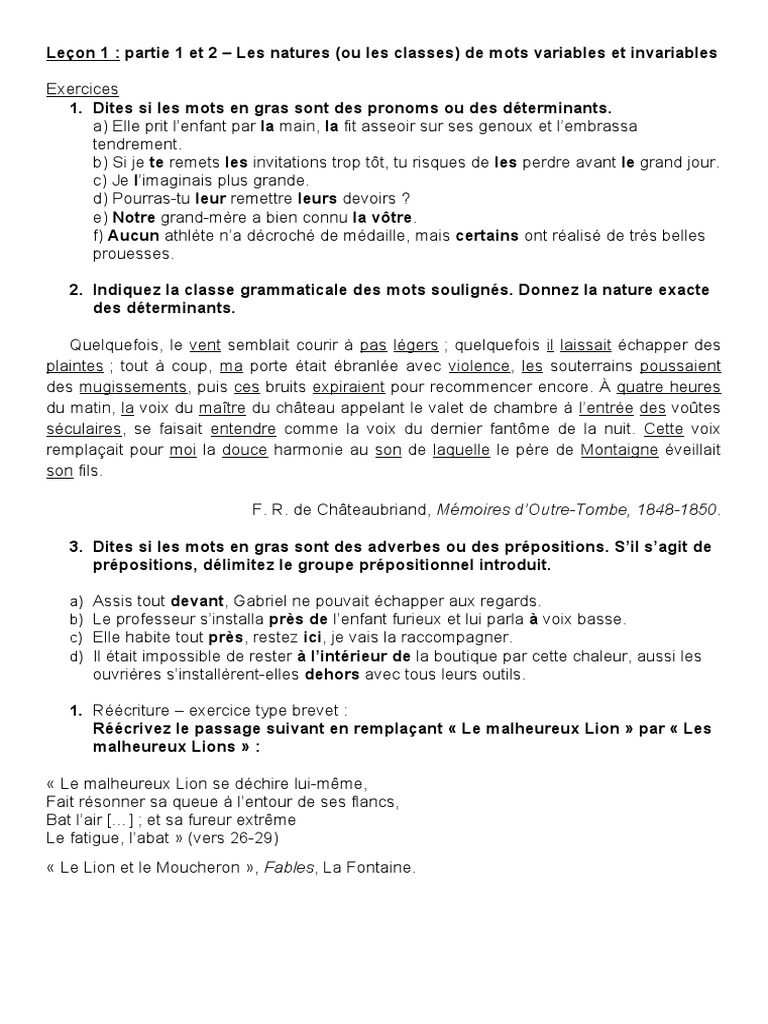 Leçon sur les classes de mots | PDF | Arts du langage et discipline