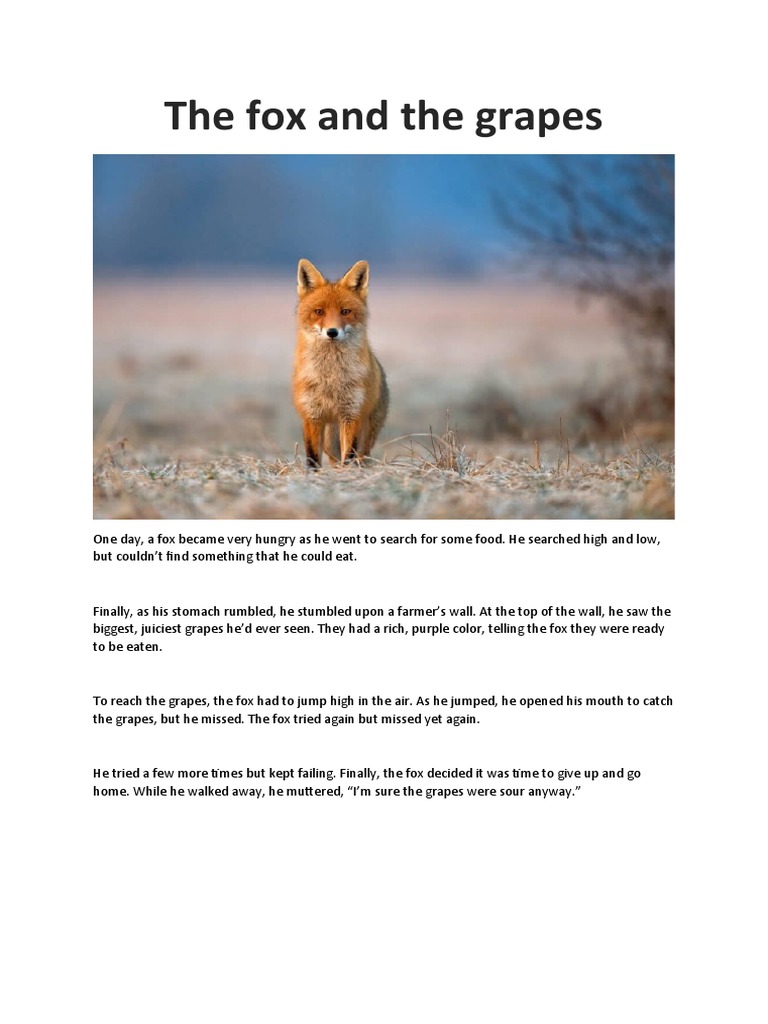 The Fox and The Grapes | PDF | Home & Garden