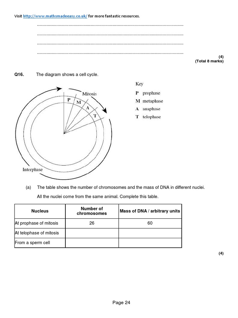 Cells Microscopes Cell Cycle and Immunity Questions 24 36 | PDF ...