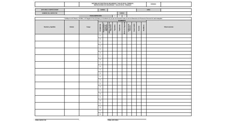 Formato de Inspeccion Epp | PDF