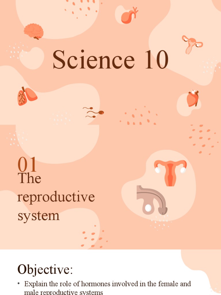 Science 10 - Reproductive System | PDF | Reproductive System | Human Body