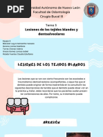 Nomenclatura Dentaria - El Código Internacional (FDI) | PDF | Diente ...