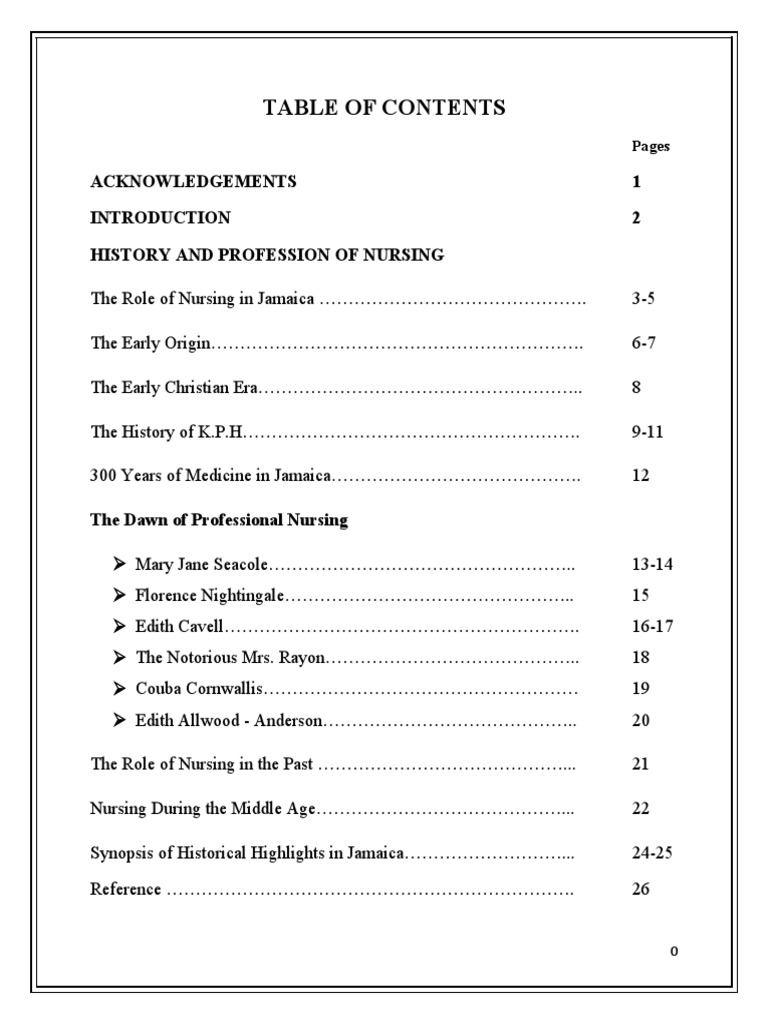 Fundamentals of Nursing Project | PDF | Nursing | Florence Nightingale