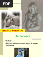 Vinculo Materno Fetal | PDF | Feto | Ciencia cognitiva