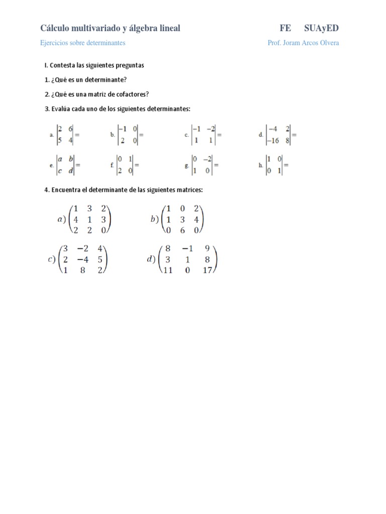 Ejercicios Sobre Determinantes | PDF