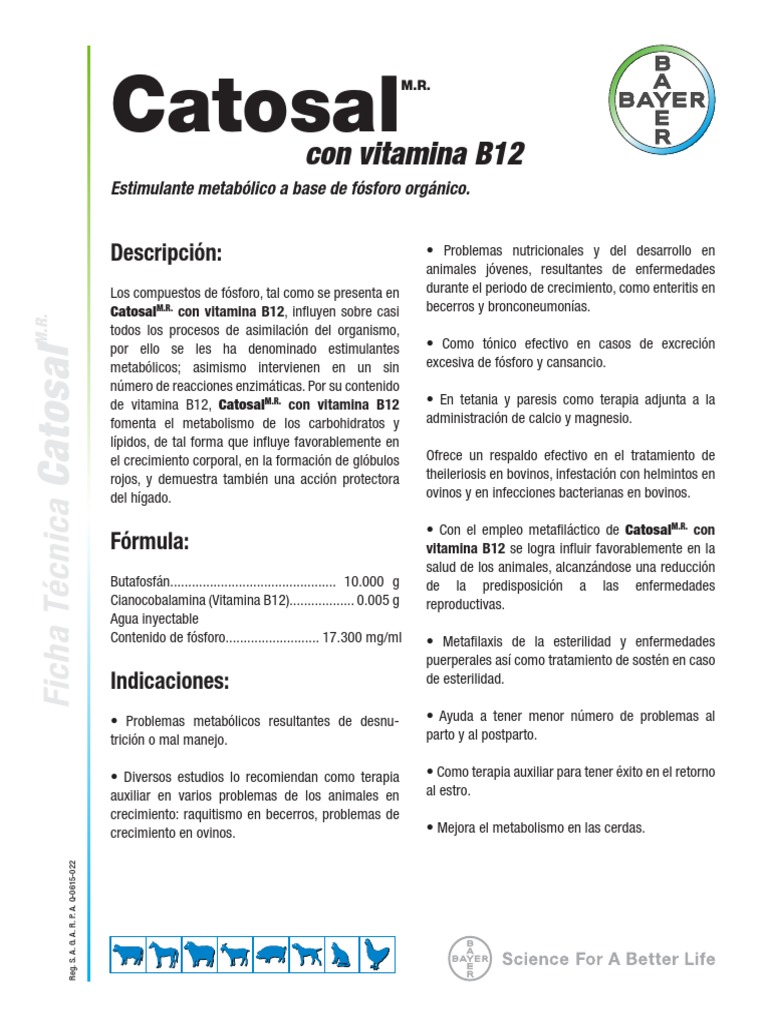 Catosal_ficha_tecnica_Bayer | PDF | Vitamina B12 | Vacas